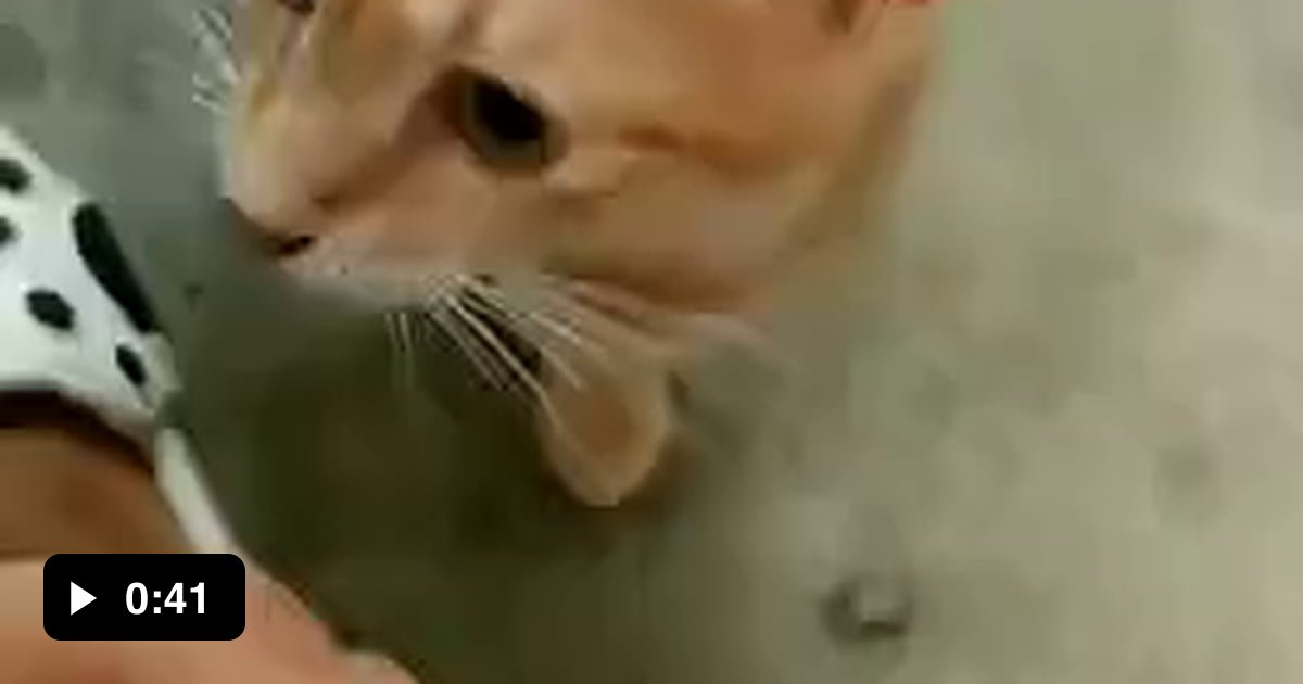 It's time, let's get go. - 9GAG