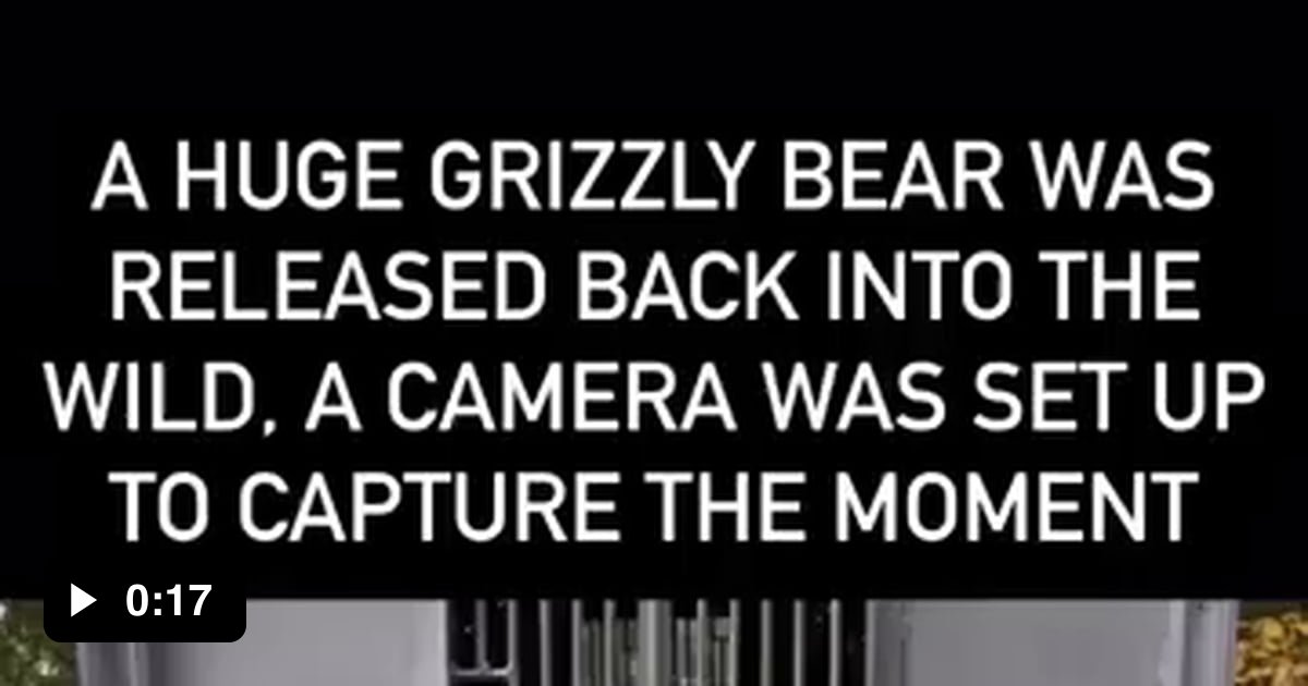 Guess he wasn't camera shy, just camera aggressive. - 9GAG