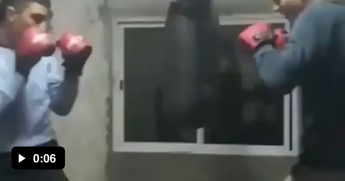 Sparring session ended abruptly. - 9GAG