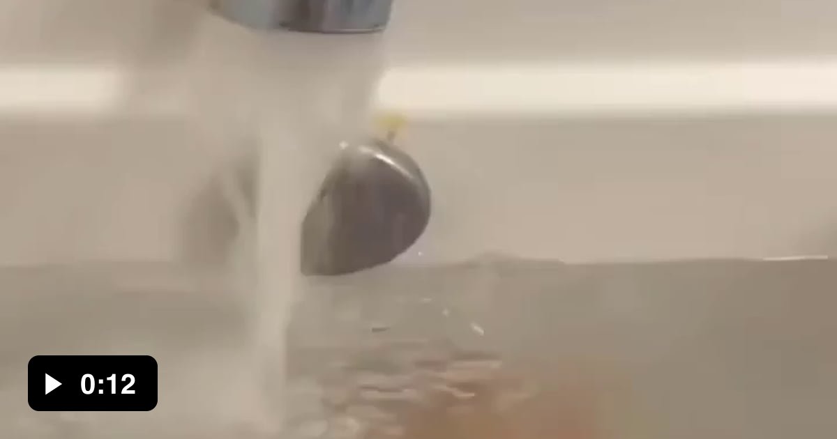 My cat is very concerned about bath time - 9GAG