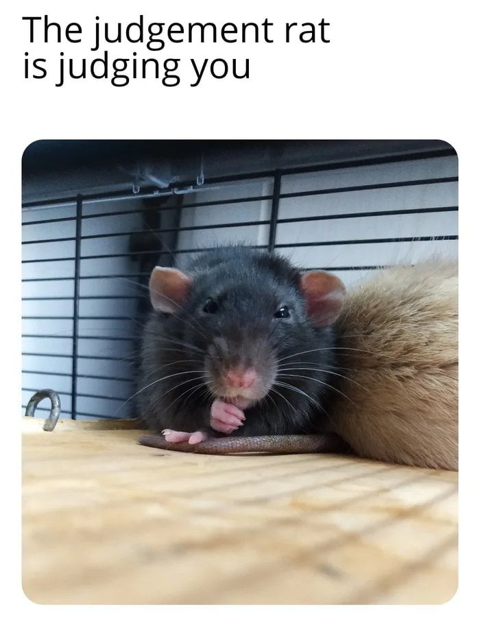 Stop scrolling, you know what you should be doing - 9GAG