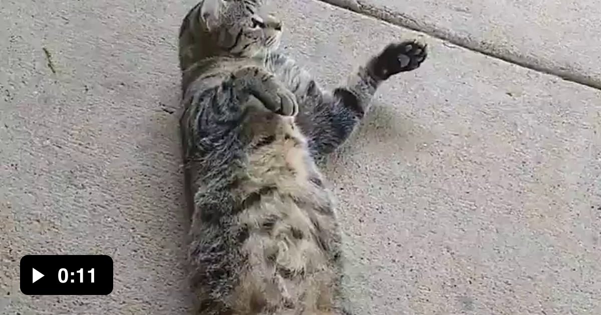 Derpy Fredrick - 9GAG