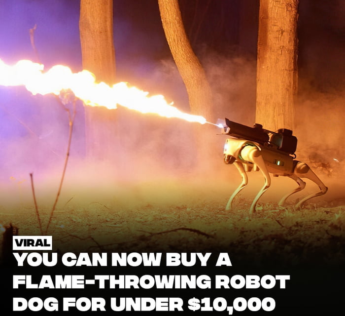 Hans, get the Flammenwerfer Robot Dog - 9GAG