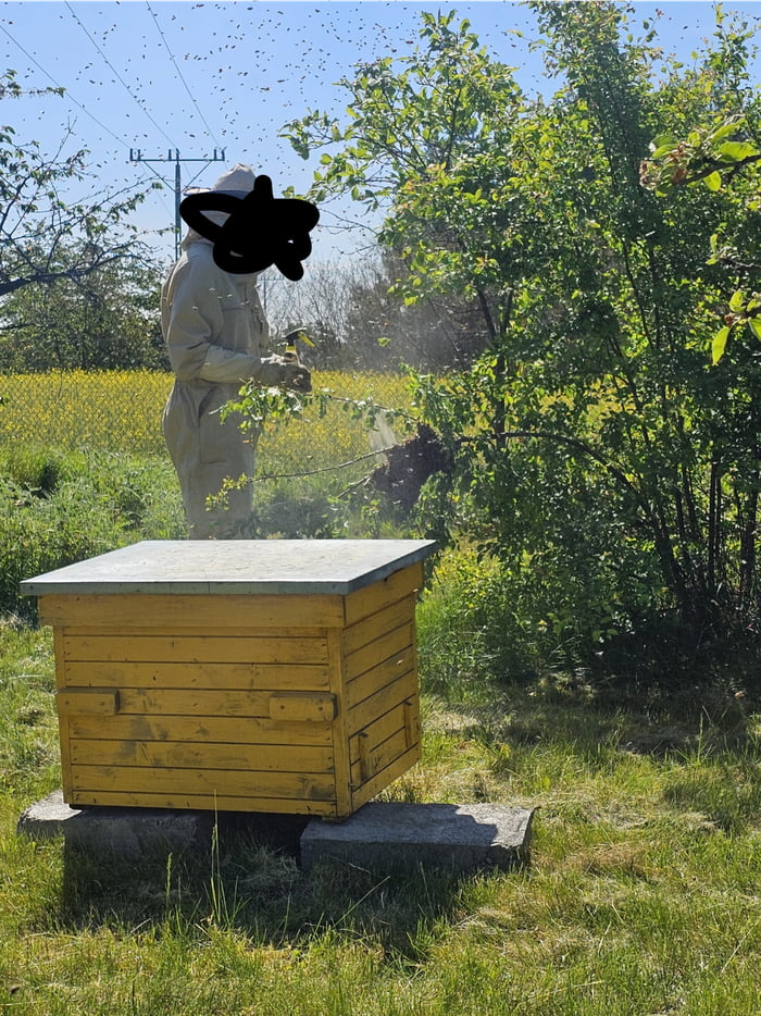 That's me with the bees. There's also a code for tomb raider goty on go ...