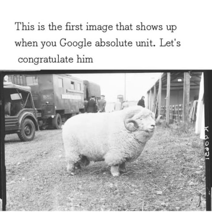 Absolute unit of a ram - 9GAG