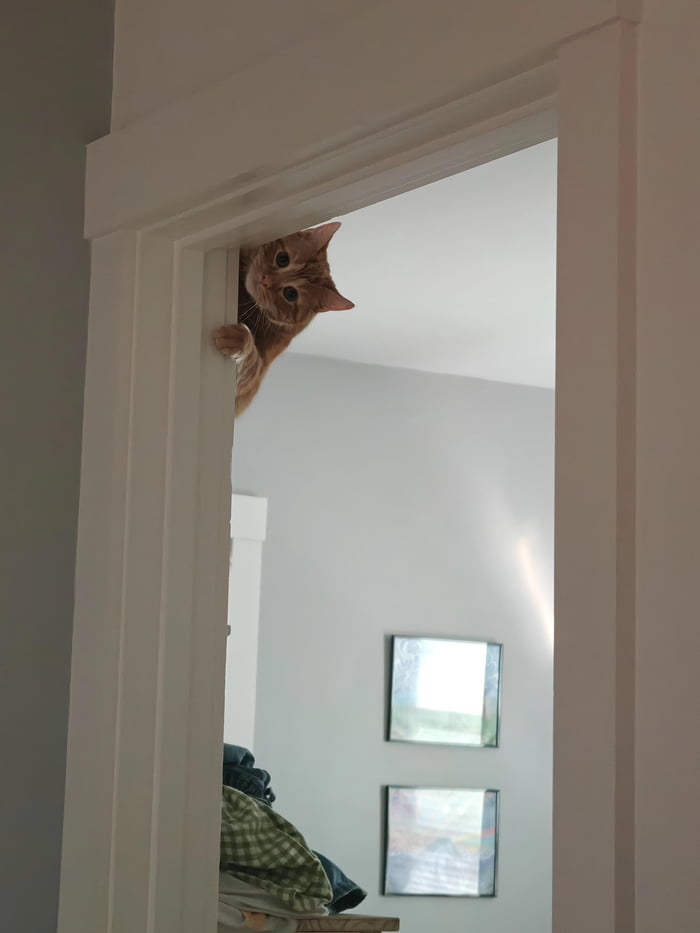 He's gone full gargoyle - 9GAG