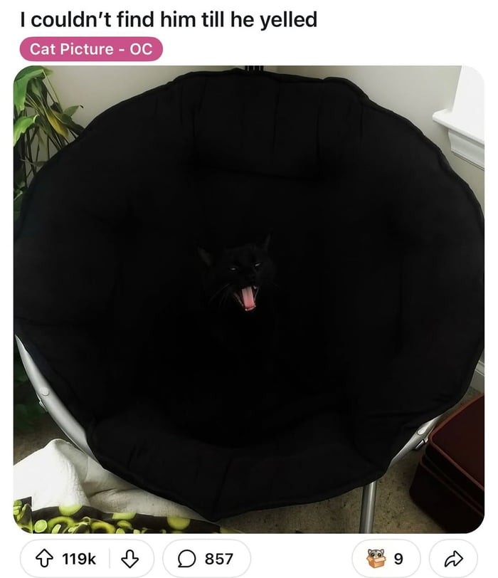 Stealth mode activated, until a yawn gives it away - 9GAG