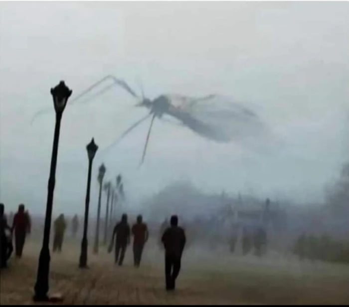🔥Lord Mosquito, God of the Sky - 9GAG