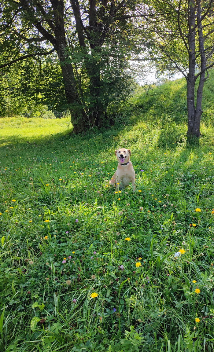 My Good Girl 9gag