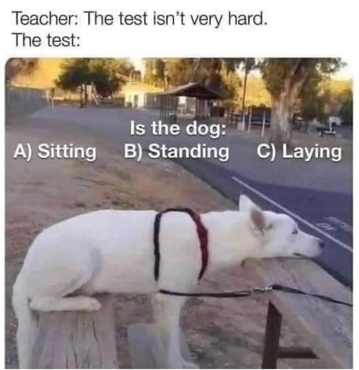 Don’t worry, it’s multiple choice! - 9GAG