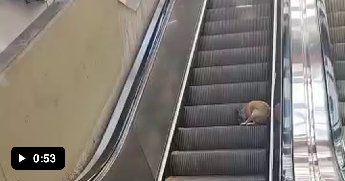 How to scratch your butt - 9GAG