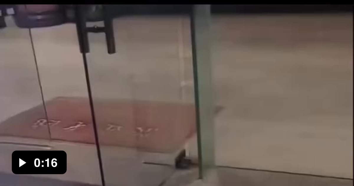 Bro successfully wasted all his 9 lives - 9GAG