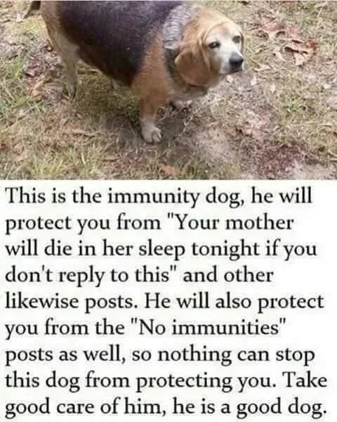 Mah boi thicc - 9GAG