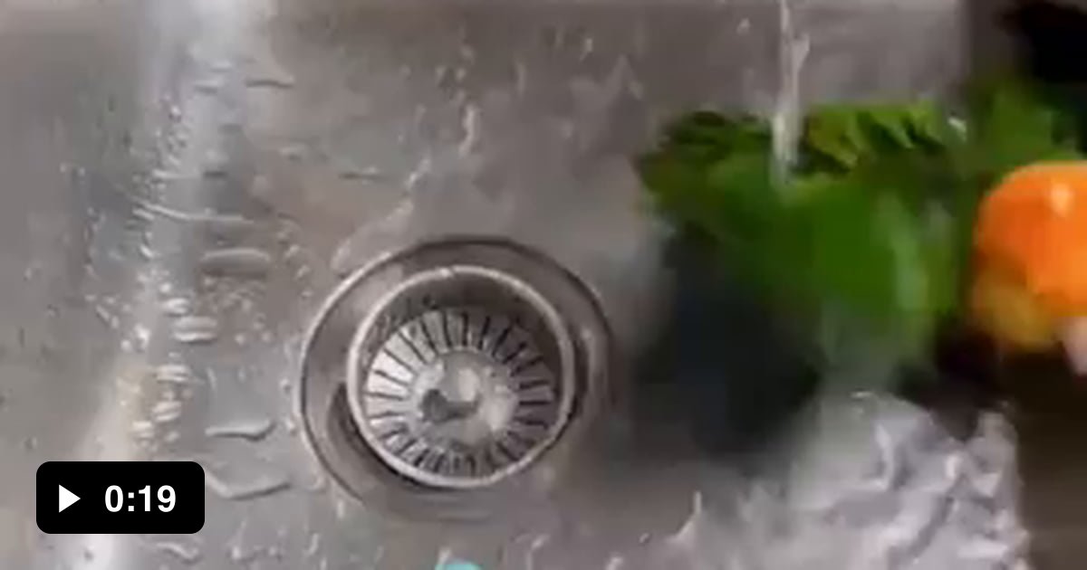 Birdies bath time - 9GAG