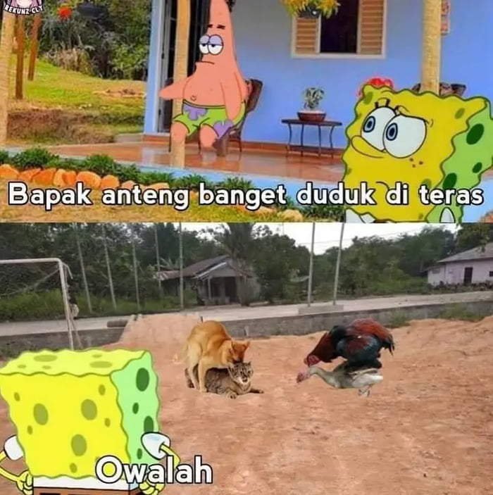 Kok bisa ya - 9GAG