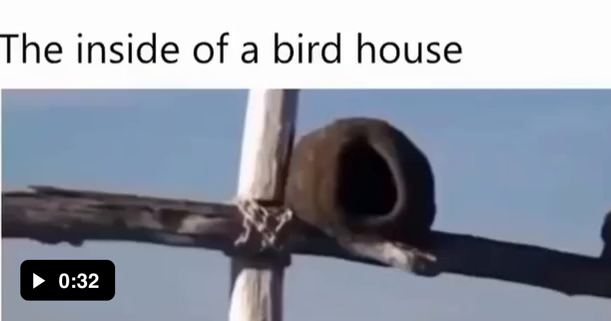 Nothing to see here, just a bird in his house going through his normal day as a bird - 9GAG