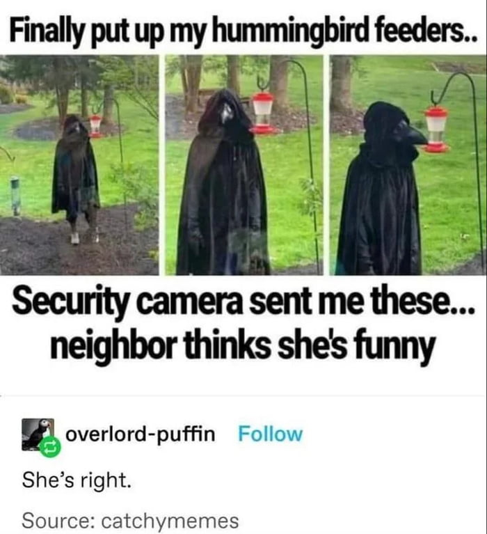 Goth comedic genius - 9GAG