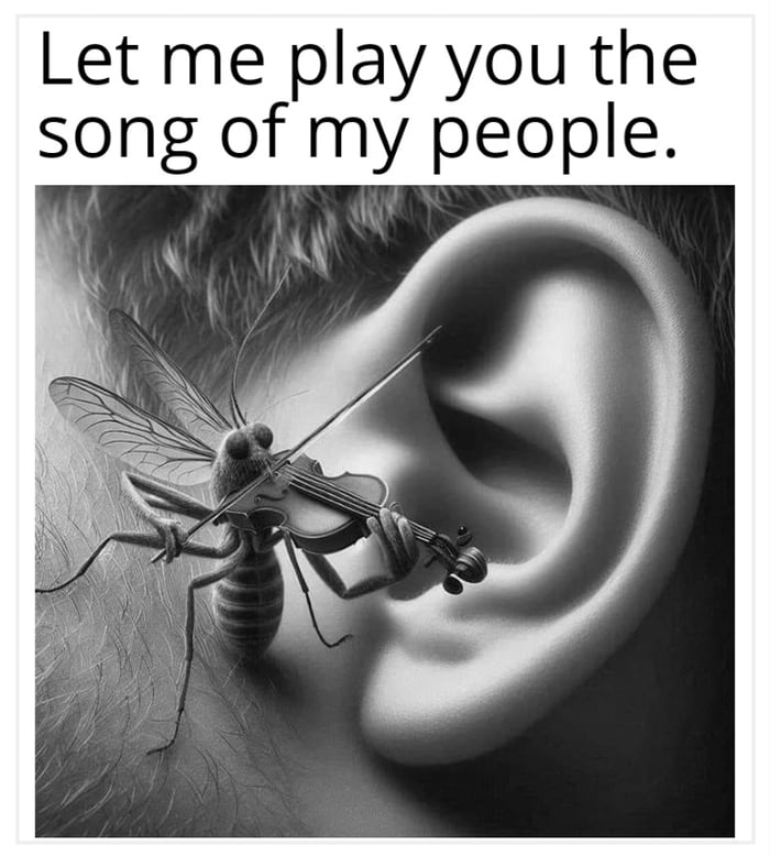 Summer humor - 9GAG