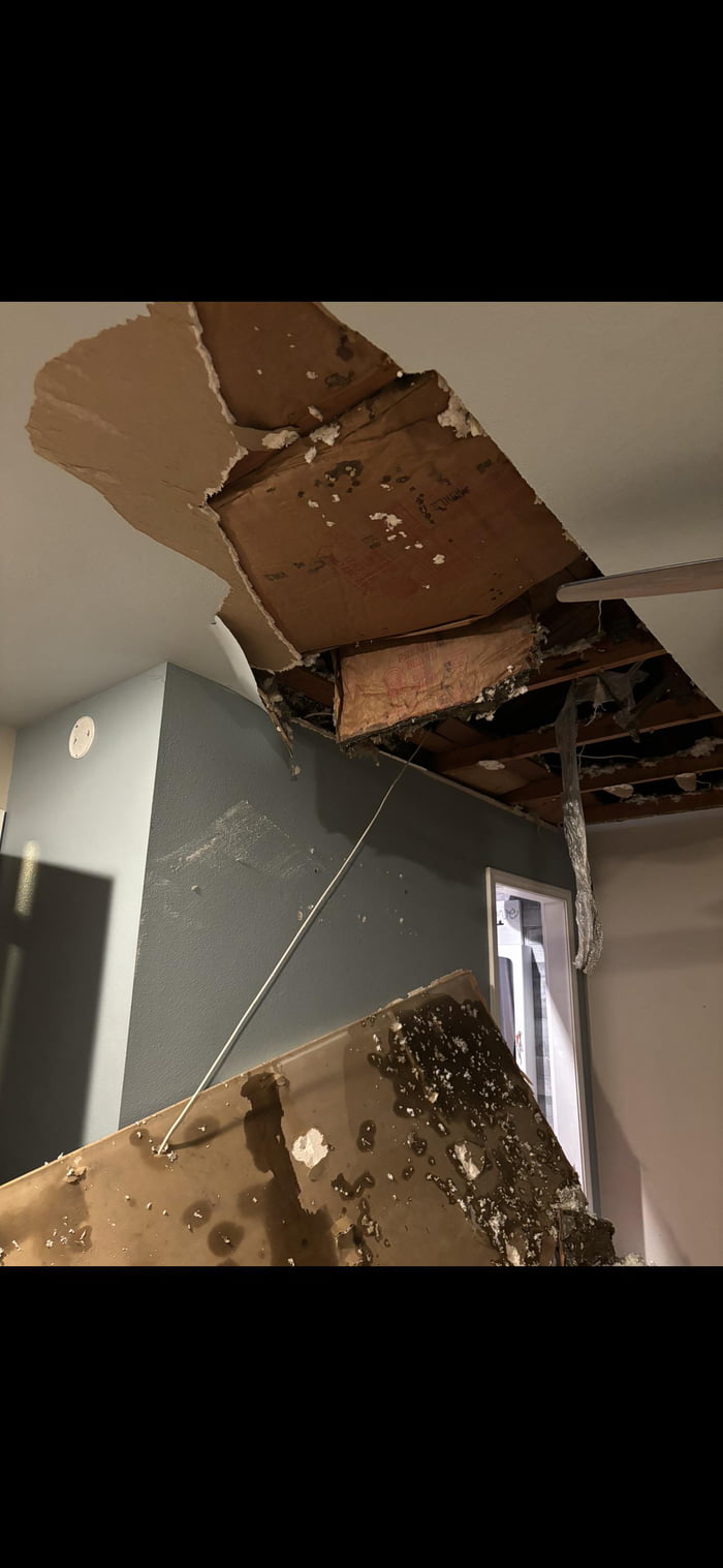 Pipe burst in attic and ceiling caved in…now this REALLY sucks! - 9GAG