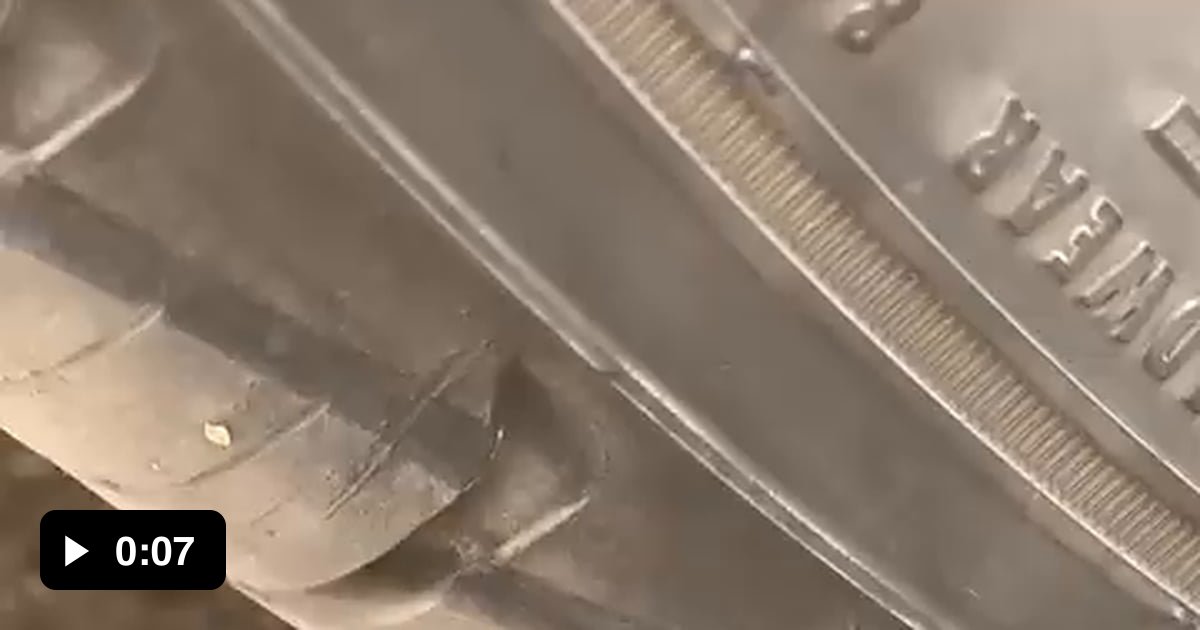 Crushing big tick with car - 9GAG