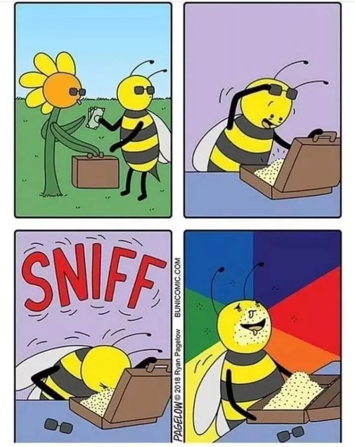 Beeeeeeee - 9GAG