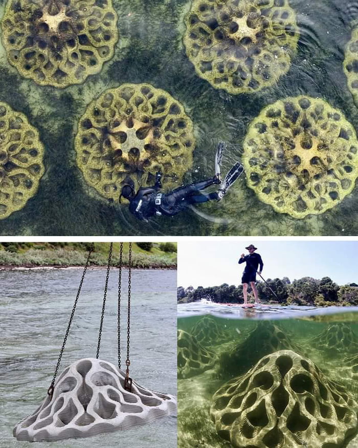 Concrete wave break structures - 9GAG