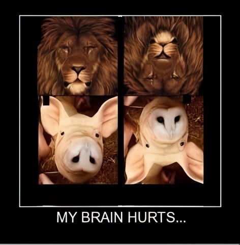 You spin my head right round... - 9GAG