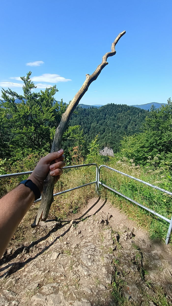 This fellow stick helped me during a full day of hiking. - 9GAG