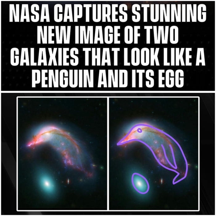 Penguin and the egg galaxies - 9GAG