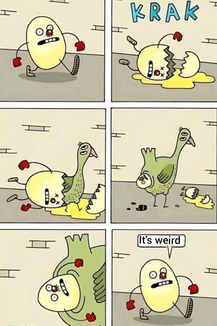 The chicken and the egg... all solved... - 9GAG
