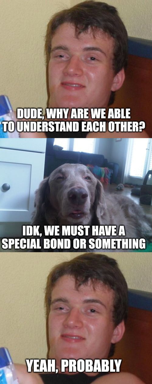 Bilingual dog - 9GAG