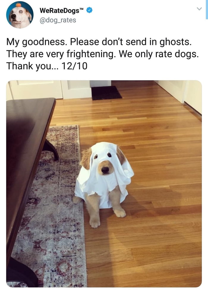 Ghost boi is very frightening and adorable - 9GAG