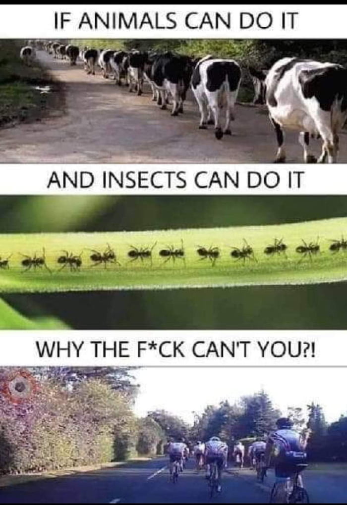 Nobody read this - 9GAG