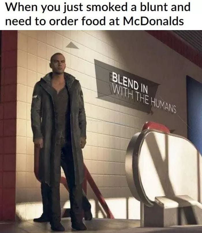 Marilize leguana - 9GAG