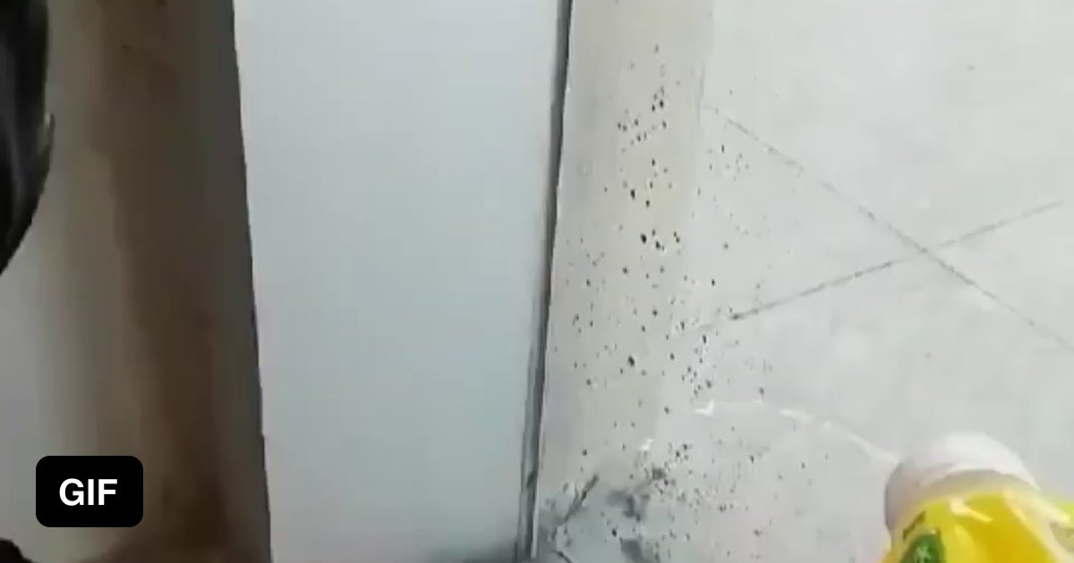 Delayed reaction - 9GAG