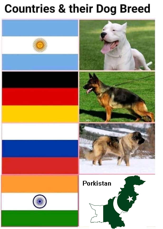 Pakistani Map speaks for itself :) - 9GAG