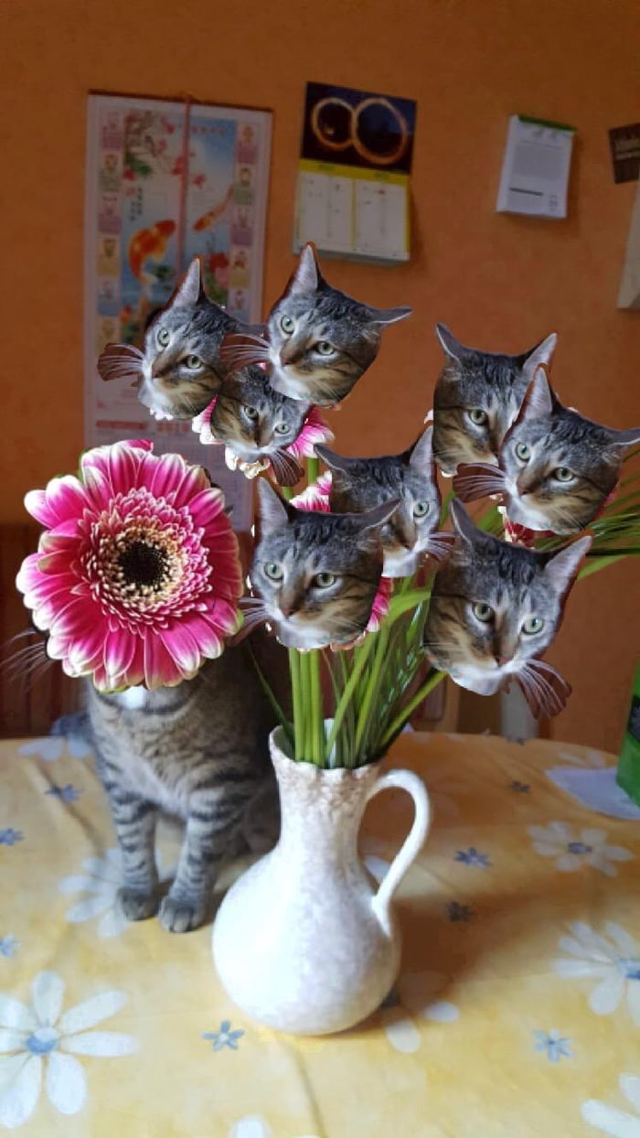 Cursed image #408 - 9GAG