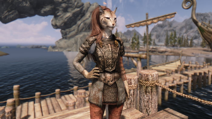 After spending 500 hours in Skyrim I decided to play as a Khajiit for ...