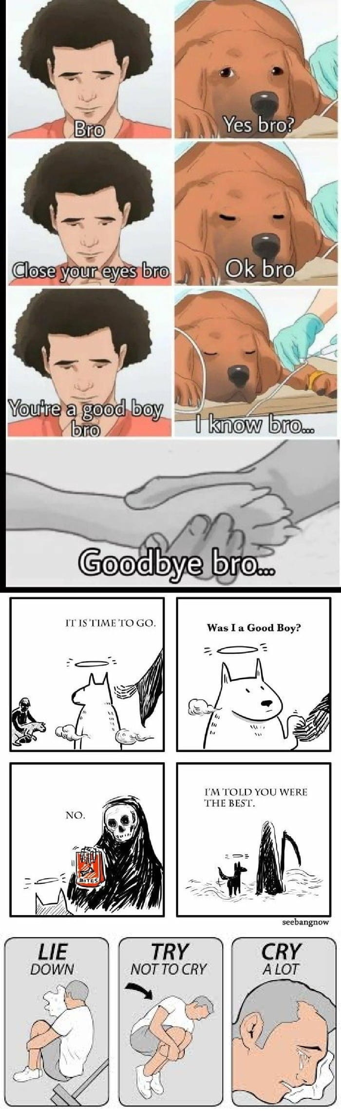 Feels, born to feel - 9GAG