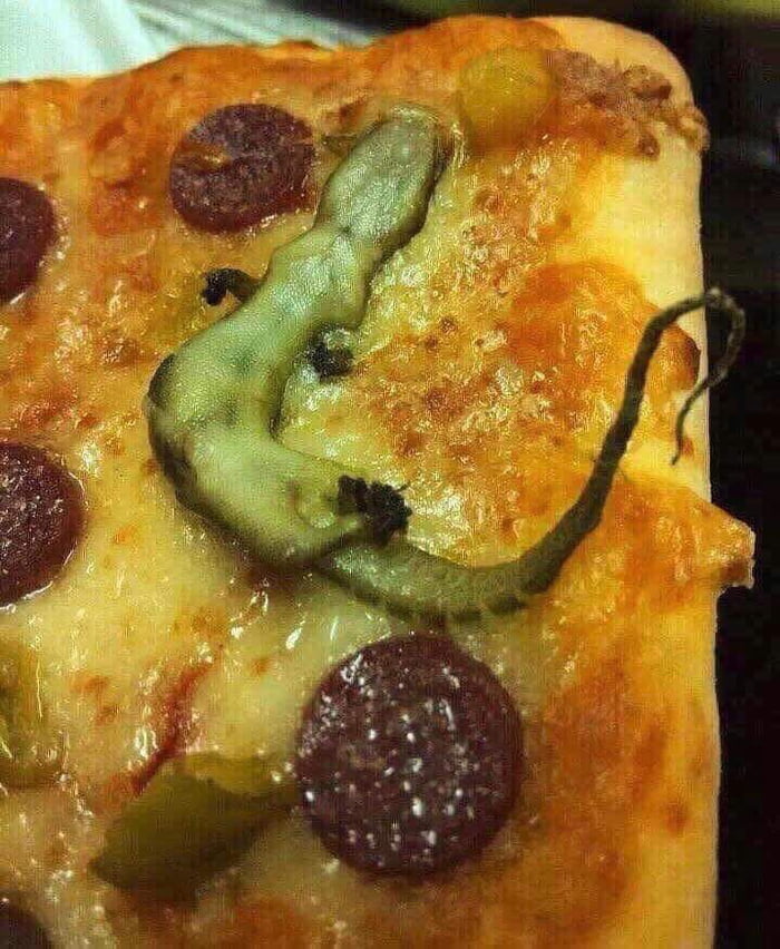 Who put pepperoni on my lizard pizza? - 9GAG