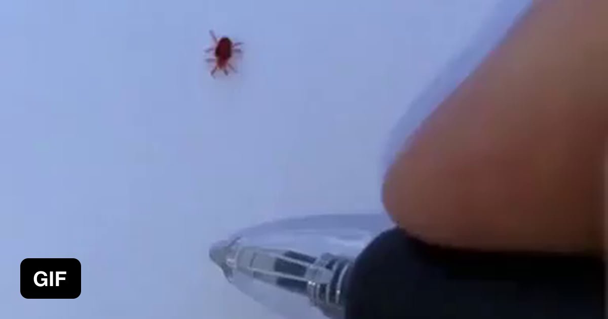 Debugging with printf - 9GAG