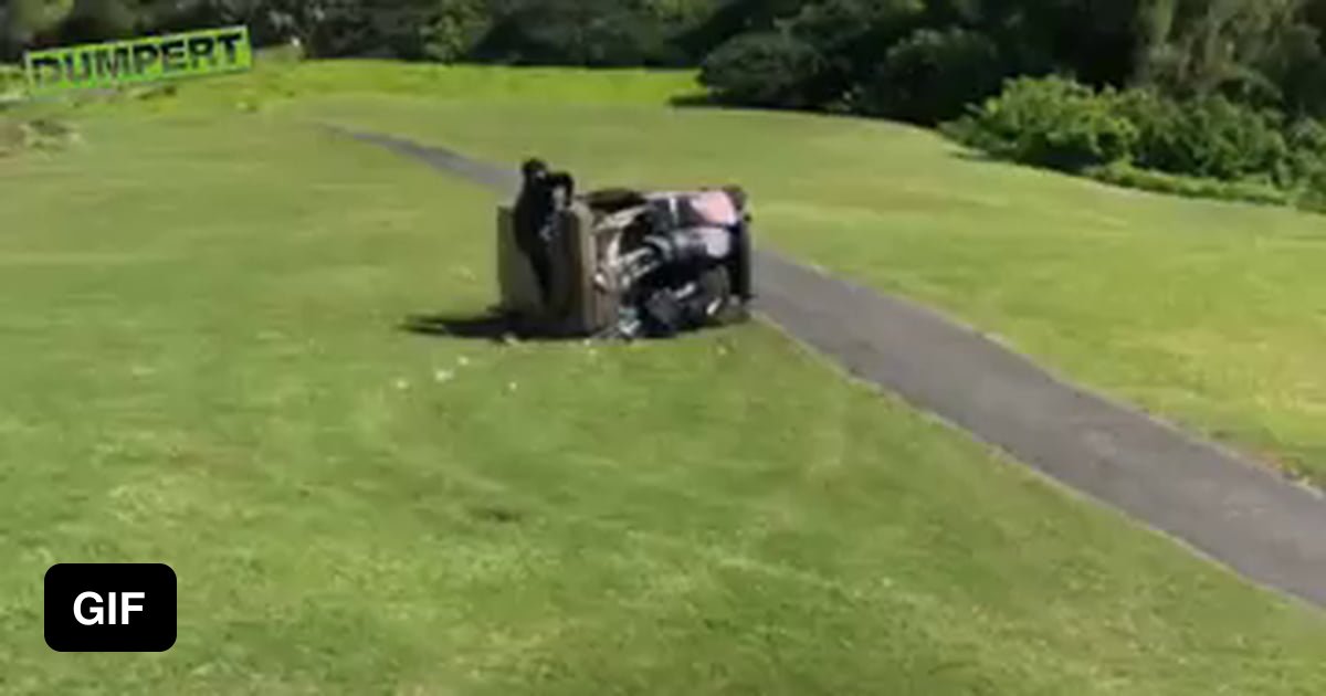 Guys try to flip golf cart back over - 9GAG