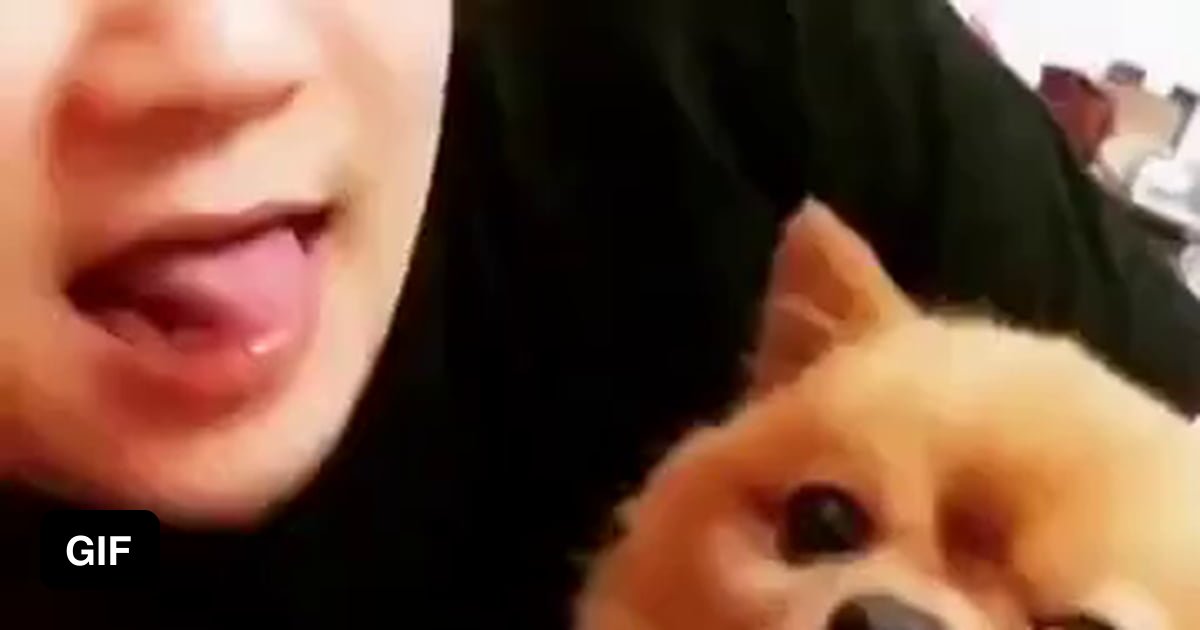 Hooman blep me blep - 9GAG