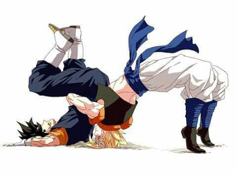 Daily dragon ball #77 Vegito and Gogeta "fighting" - 9GAG