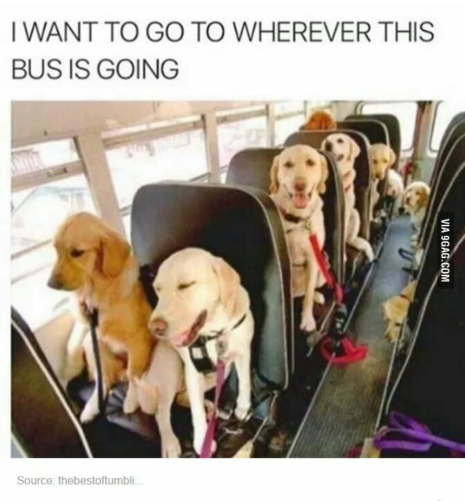 Climb aboard the fun train. - 9GAG