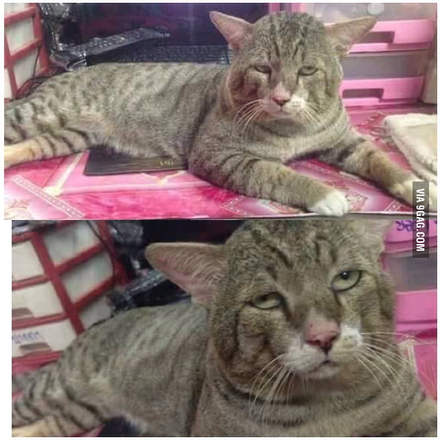 You might be fed up of your life, but you will never will be as fed up ...