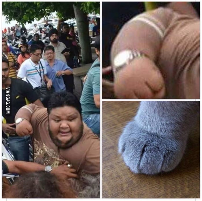 Fluffy fist - 9GAG