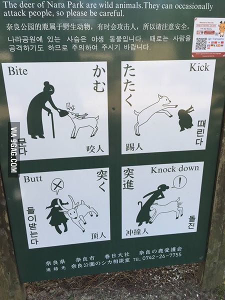 Sign at Nara Park, Japan - 9GAG