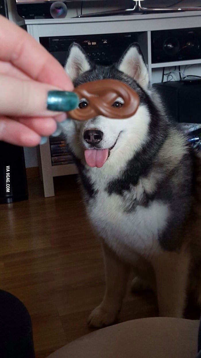 Chocolate Roll doge! - 9GAG