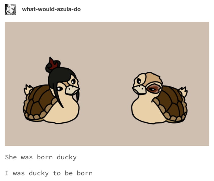 Azula duck is quite cute though - 9GAG